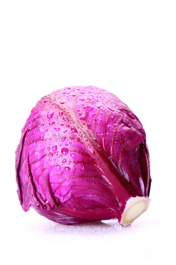 Red Cabbage Picture. Image: 9862335