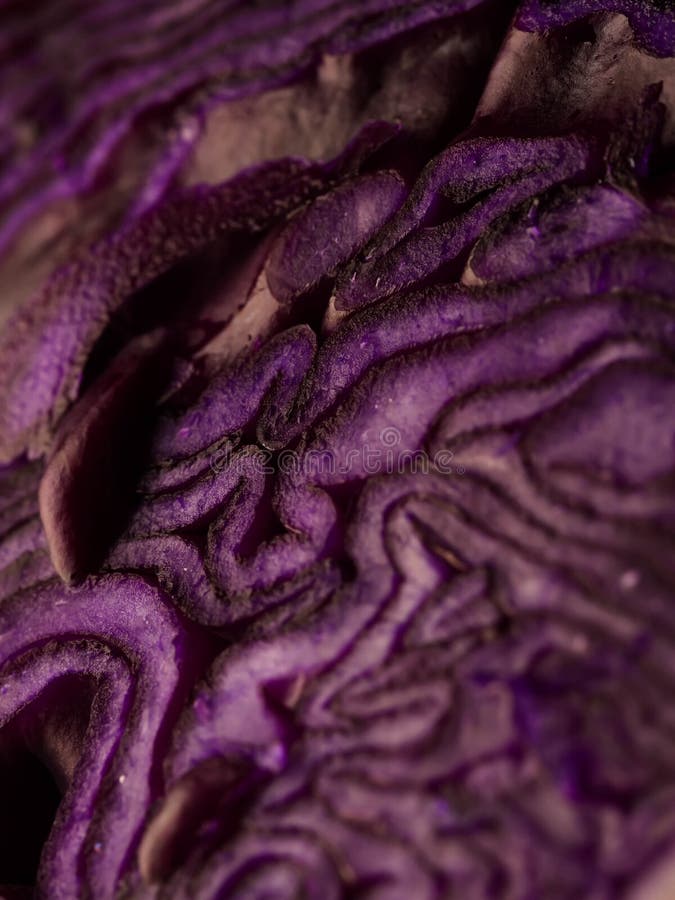 Red Cabbage Close-up. the Texture of the Cut Cabbage Stock Image ...