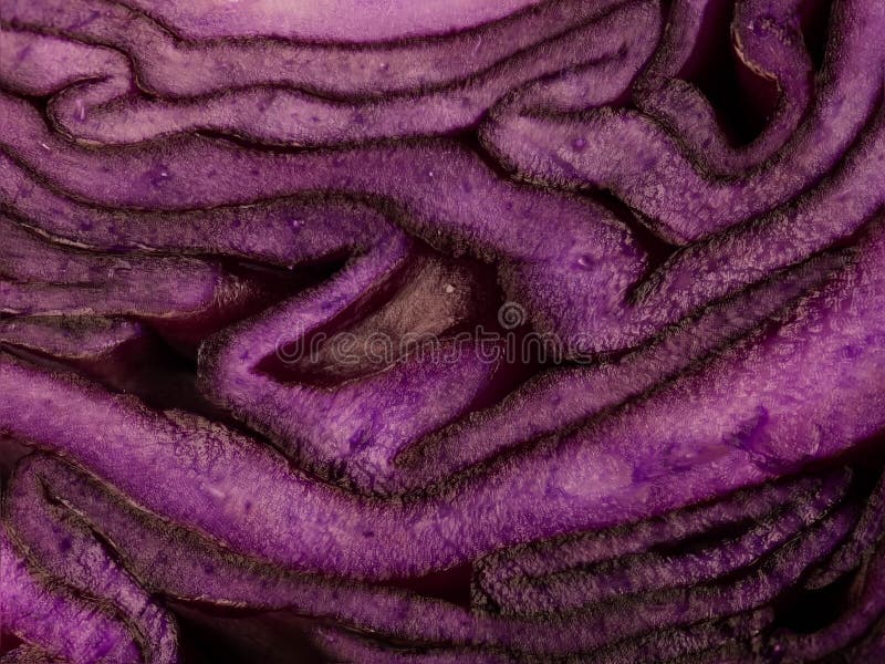 Red Cabbage Close-up. the Texture of the Cut Cabbage Stock Image ...