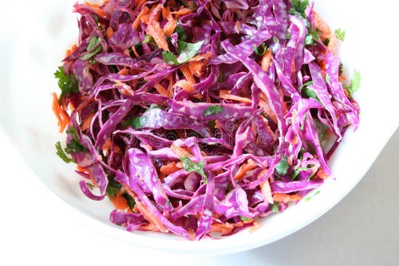 Red cabbage cole slaw stock photo. Image of bowl, orange - 19574578