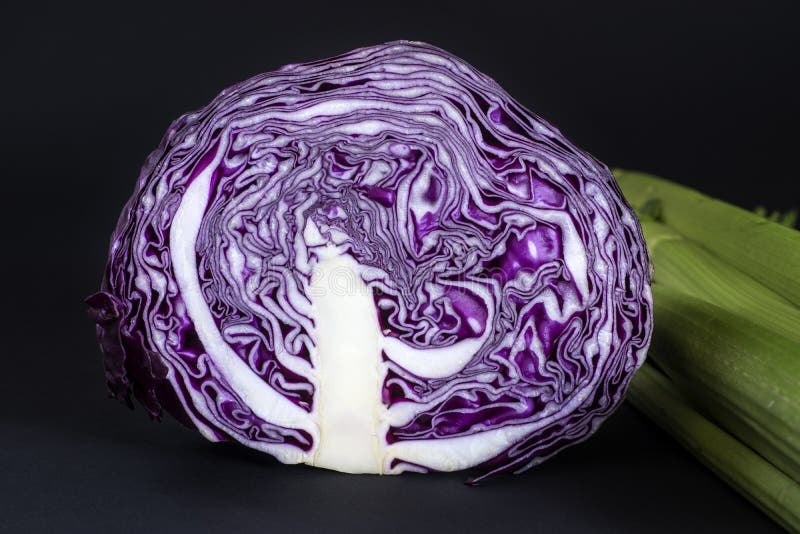 Red Cabbage stock photo. Image of eating, cabbage, color - 172775444