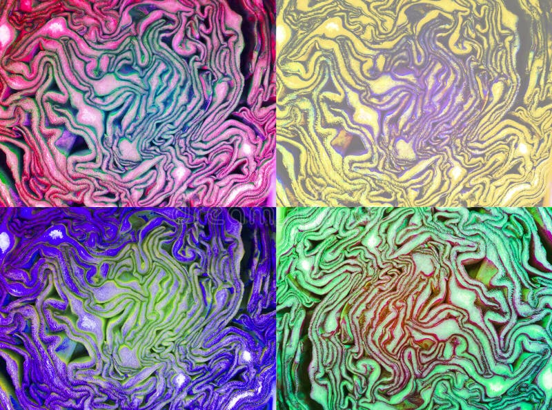Red Cabbage Cut, Abstract Pattern Stock Image - Image of detailed ...