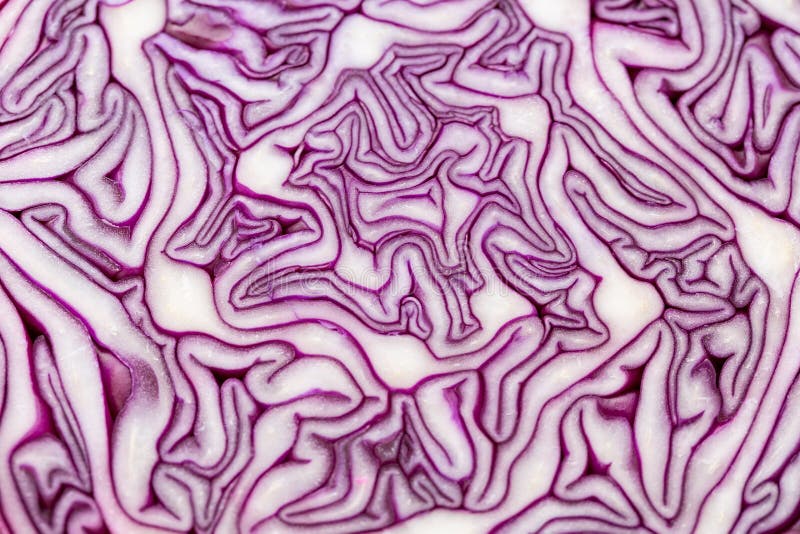 Red Cabbage Cut Closeup Texture Stock Photo - Image of vegetables ...