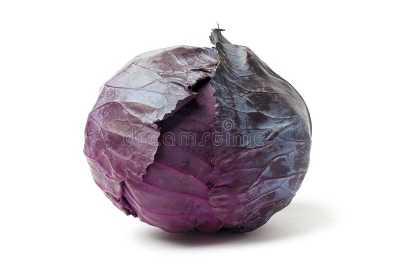 Red Cabbage stock photo. Image of background, vegetable - 35548216