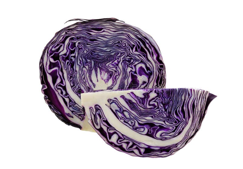 Red cabbage freshly sliced stock image. Image of cookery - 25304563 Red cabbage freshly sliced stock image. Image of cookery - 25304563