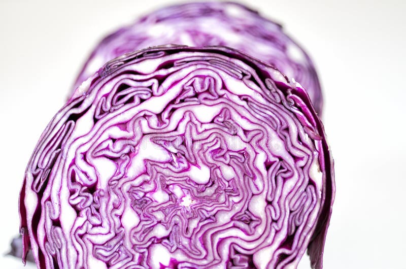 Red cabbage stock photo. Image of purple, agriculture - 30670840