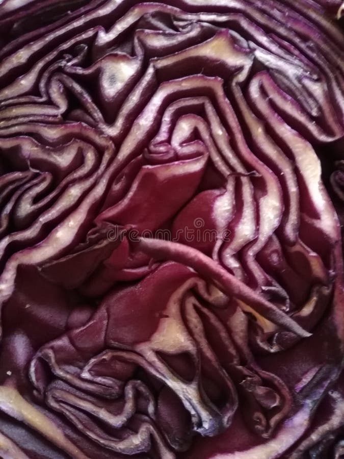 Red Cabbage Inside. Organic Stock Photo - Image of fresh, healthy ...