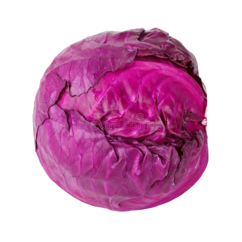 Red cabbage stock image. Image of vegetable, crunchy - 57209501