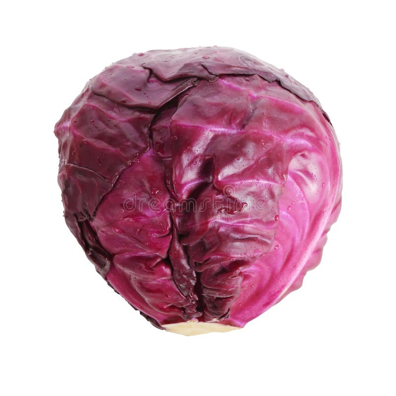 Red Cabbage stock image. Image of cabbage, violet, vegetable - 4231823