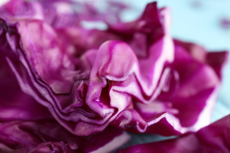 Red cabbage leaf, closeup stock image. Image of vegetable - 151212571