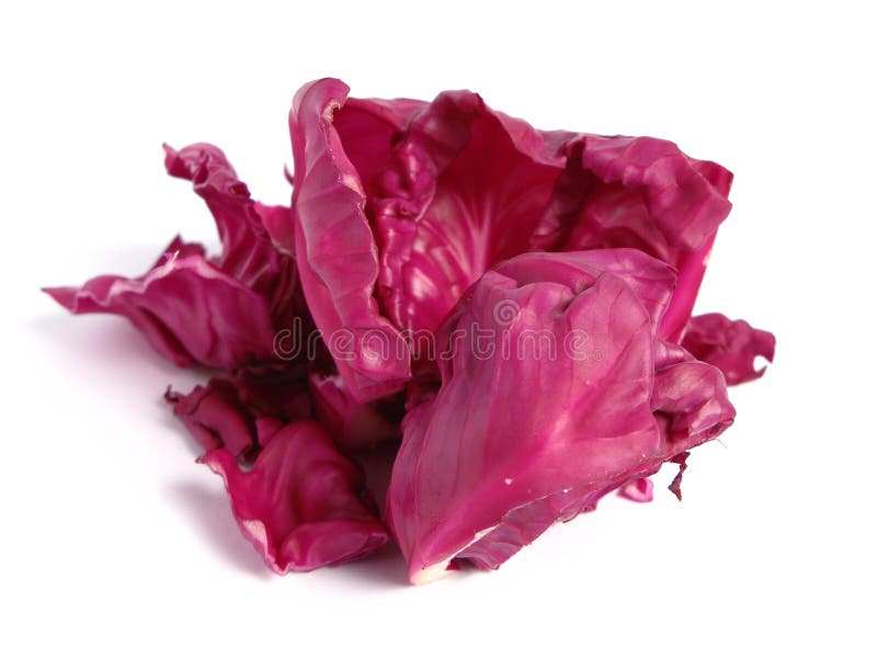 Red cabbage stock image. Image of fancy, quarter, produce - 25185121