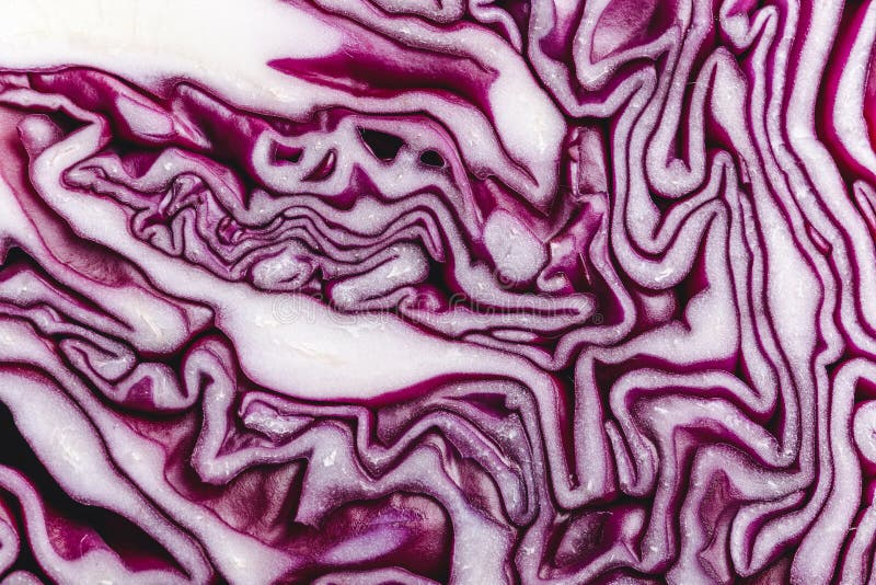 Red Cabbage Macro Background. Texture of the Cut Cabbage. Stock Image ...