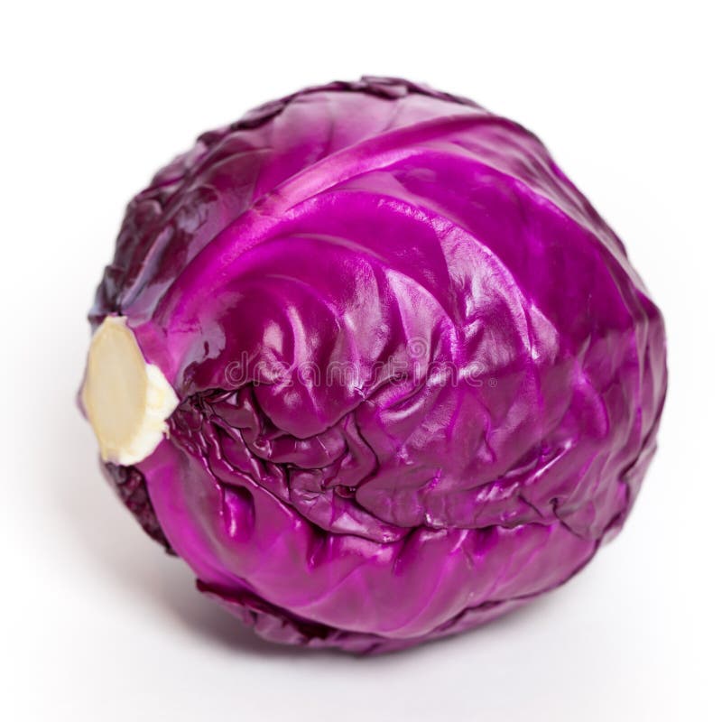 Red cabbage stock image. Image of focus, selective, leaf - 45218901