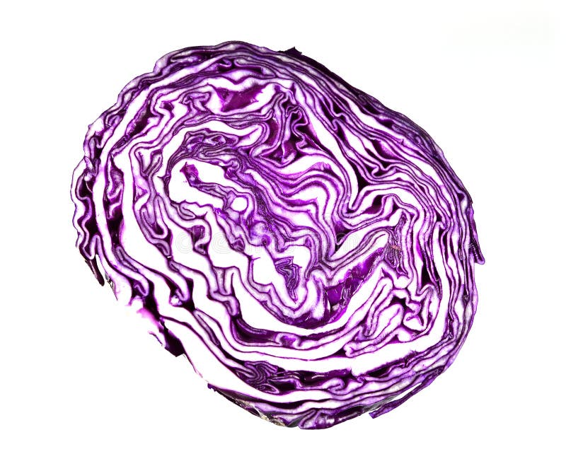 Red Cabbage. Red Cabbage Section. Red Cabbage Cross Section on White ...