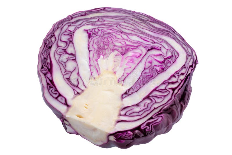 Half of Red Cabbage Isolated on White. Looks Like a Brain Stock Image ...