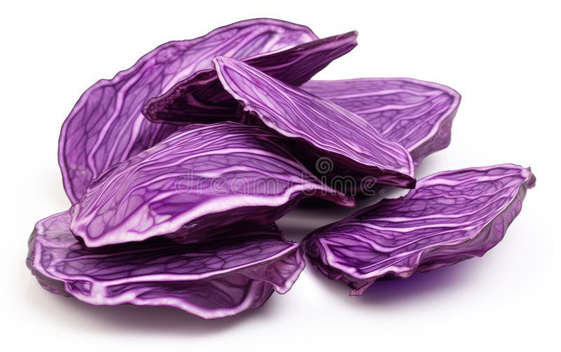 Red Cabbage Slices on White Background Stock Illustration ...