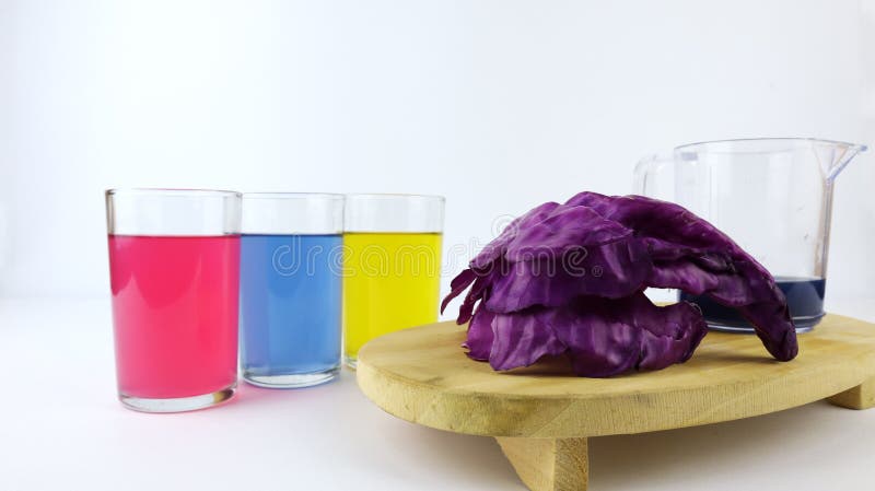 Purple Cabbage Experiment Stock Photos - Free & Royalty-Free Stock ...