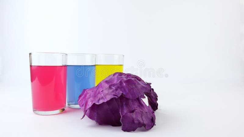 Purple Cabbage Experiment Stock Photos - Free & Royalty-Free Stock ...