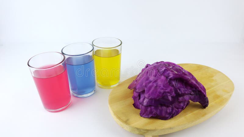 Purple Cabbage Experiment Stock Photos - Free & Royalty-Free Stock ...