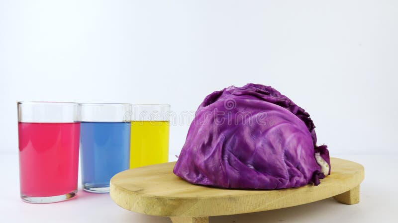 Purple Cabbage Experiment Stock Photos - Free & Royalty-Free Stock ...