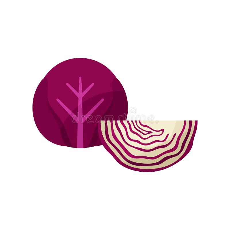 Cut Red Cabbage Stock Illustrations – 606 Cut Red Cabbage Stock Illustrations, Vectors & Clipart ...
