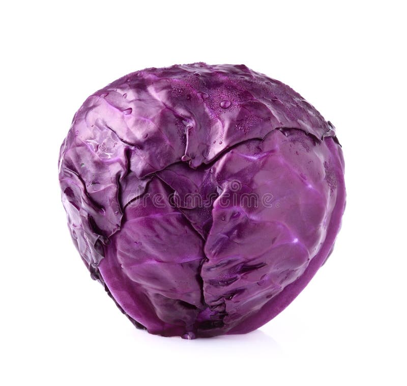 Cabbage with Violet Leaves in Reykjavik, Iceland. Ornamental Cabbage in ...