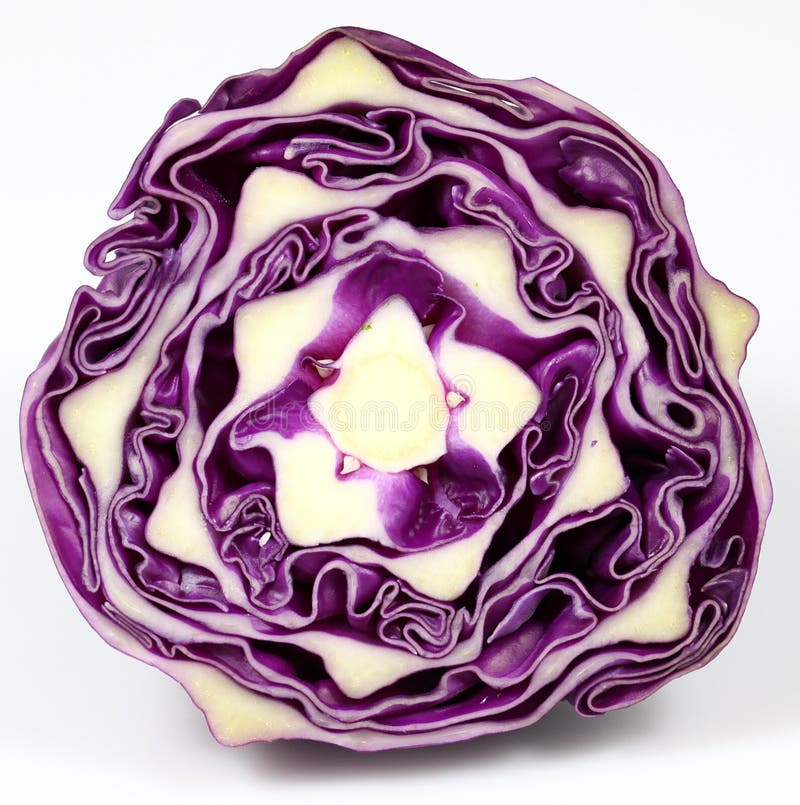 Red Cabbage and Quarter Slice Stock Image - Image of garden, garnish ...