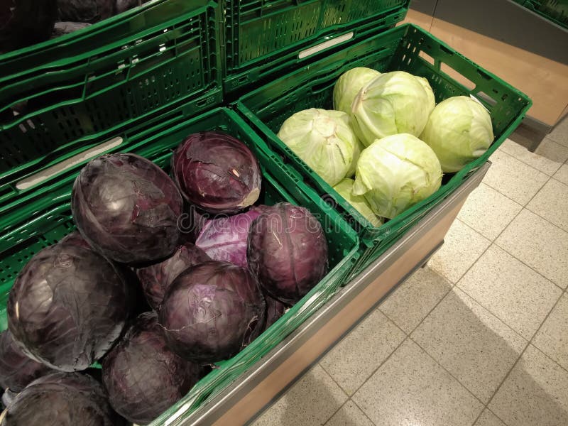 Red Cabbage and White Cabbage in Transport Boxes Stock Image - Image of ...