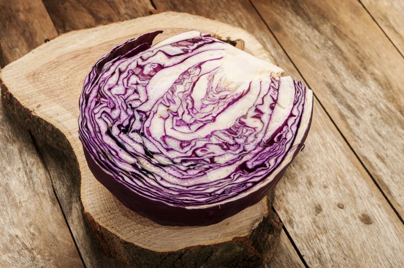 Red cabbage stock photo. Image of organic, beautiful - 16899242