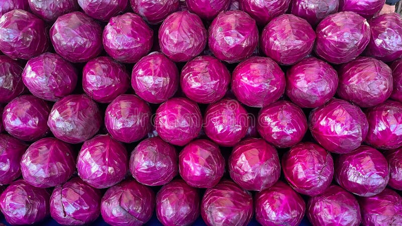 Red Cabbages Lined Up on the Market Stall Stock Photo - Image of food ...