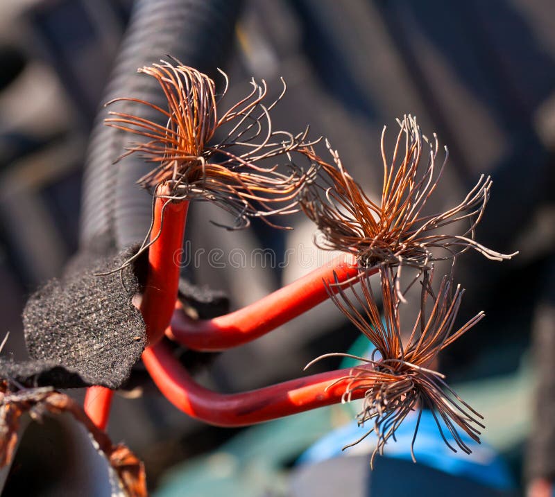 Red Cable with Copper Fibers Inside Stock Image - Image of broken ...