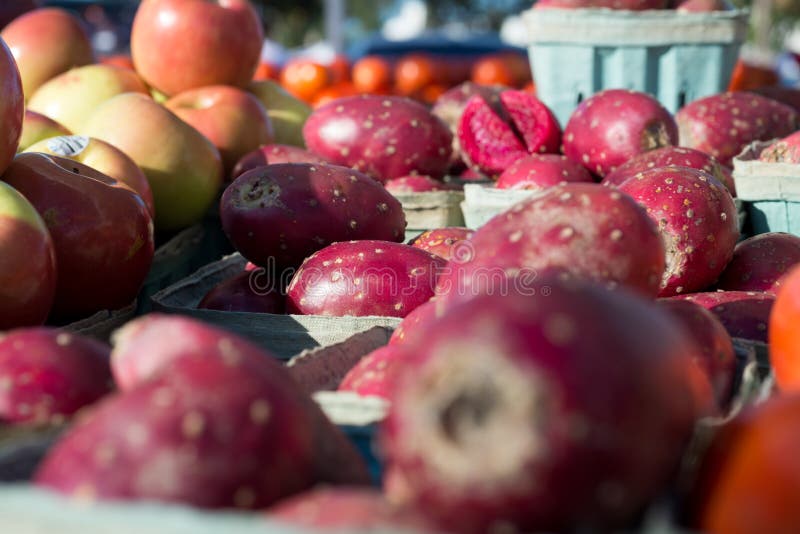 Red Cactus Pear stock photo. Image of farmers, fruit - 27132894