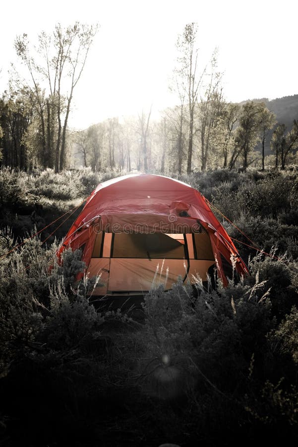 Red Camping Tent on the Forest Stock Photo - Image of landscape ...
