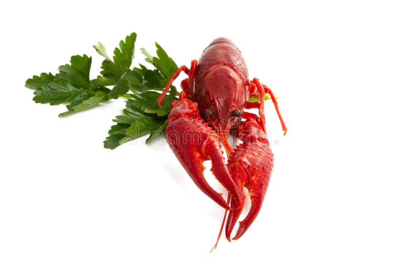 Red cancer stock photo. Image of background, antenna - 152676372