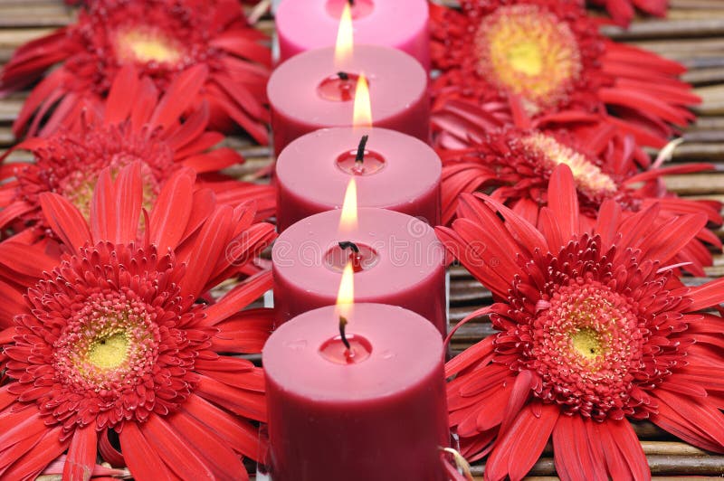 Red candles stock photo. Image of design, petals, relaxation - 15166548