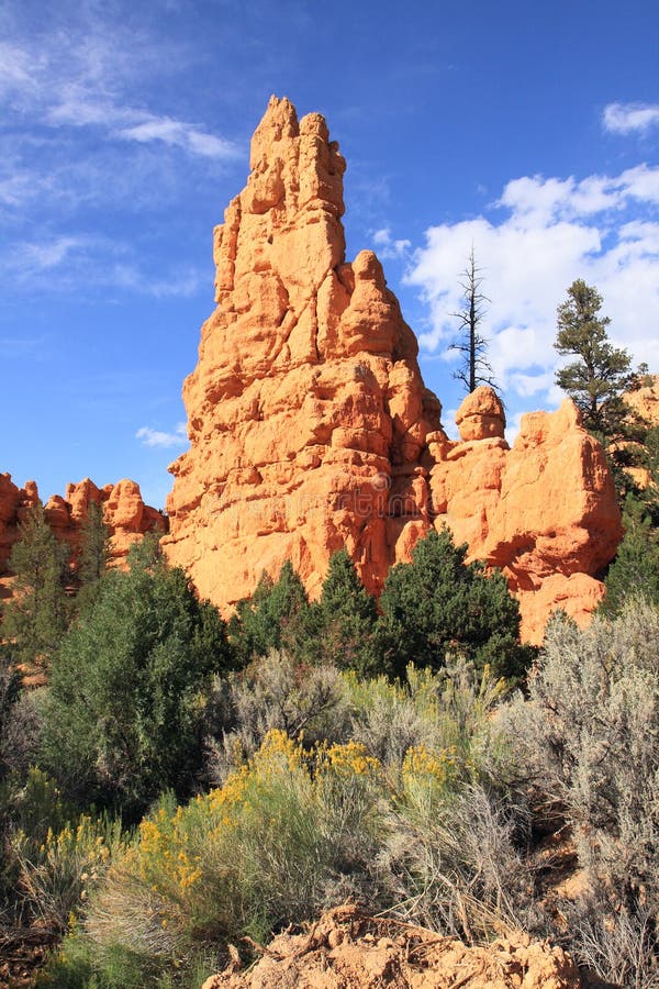 Red Canyon stock photo. Image of formation, mountain - 16981598