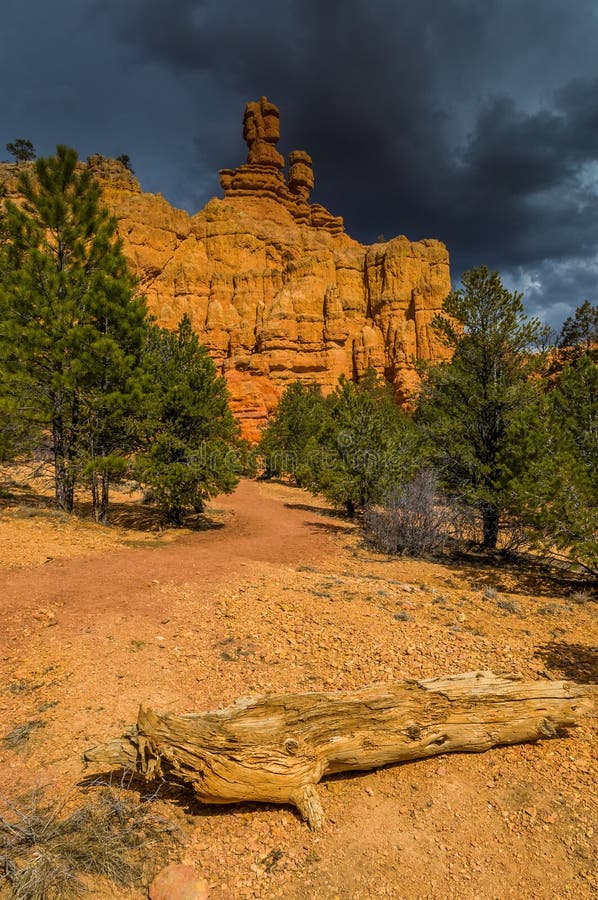 Red Canyon stock photo. Image of color, formation, hiking - 50202718