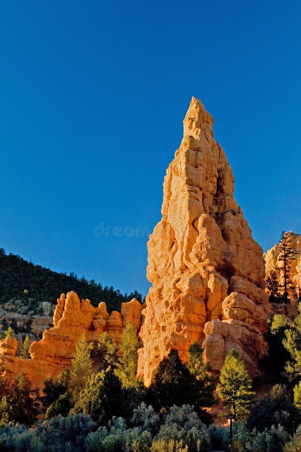 Red Canyon, Utah stock photo. Image of breathtaking, hiking - 486304