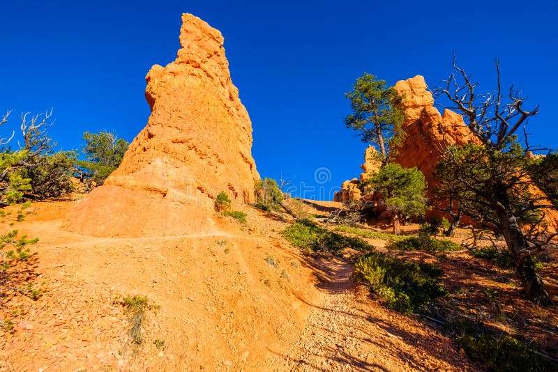 Red Canyon Utah stock photo. Image of beauty, trail, national - 92035966