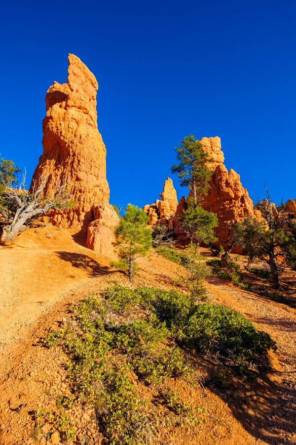 Red Canyon Utah stock photo. Image of plants, sandstone - 92035978