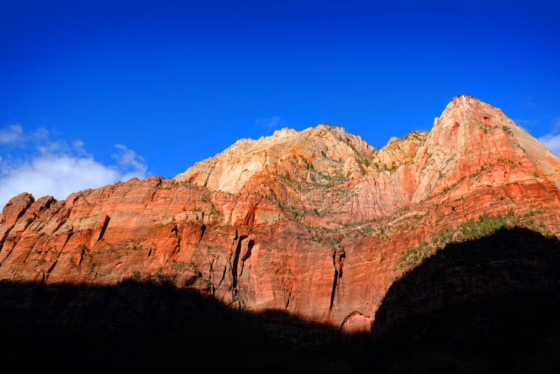 Red Canyons Trees and Cliffs Stock Photo - Image of adventure, outdoors ...