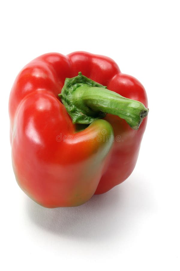 Red Capsicum stock photo. Image of studio, bell, shot - 16391030