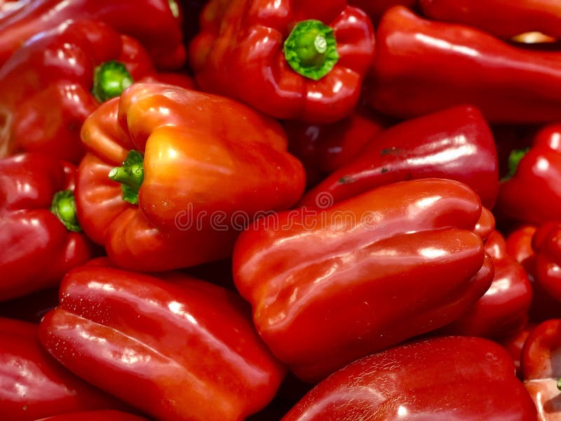 Red Capsicum Also Known As Red Paprika Peppers is an Important daily ...