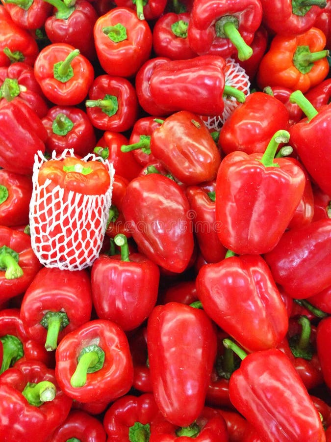 Red Capsicum stock image. Image of wrap, spicy, capsicum - 43324117
