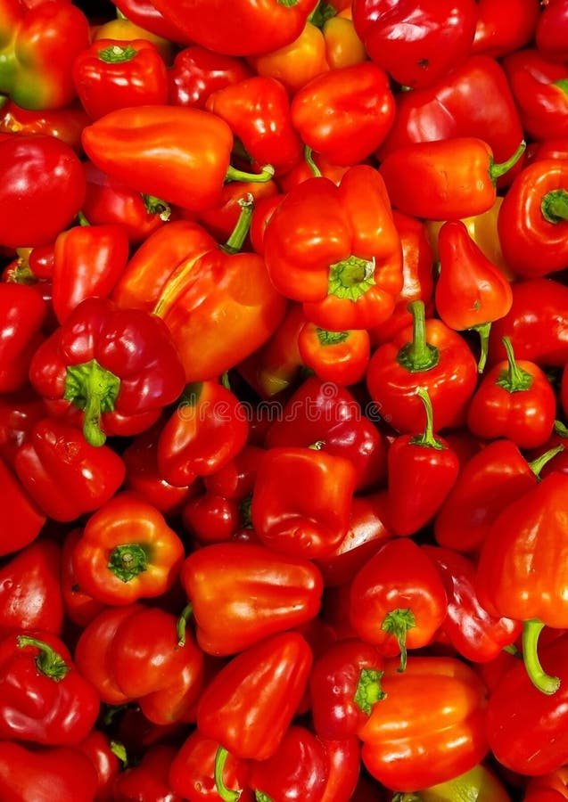 Red Capsicum Gathering Stock Photos - Free & Royalty-Free Stock Photos ...