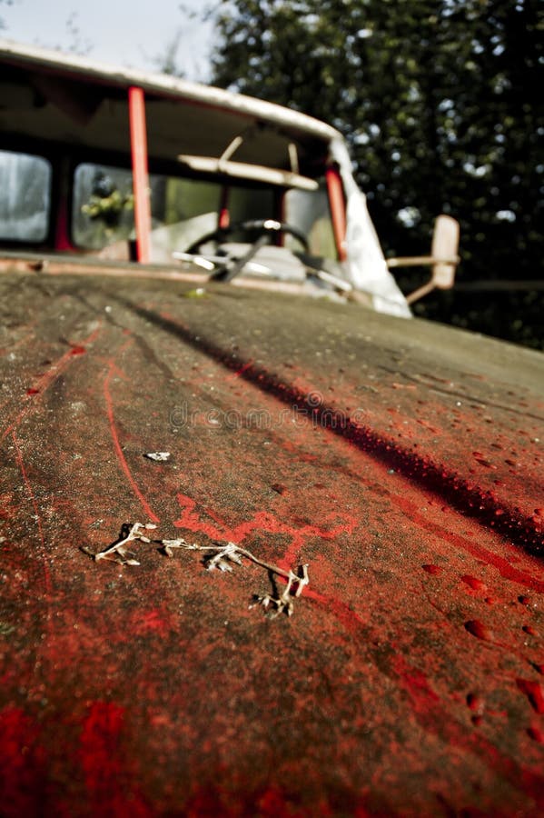 Red car stock photo. Image of vehicle, tree, dirt, forest - 5882496