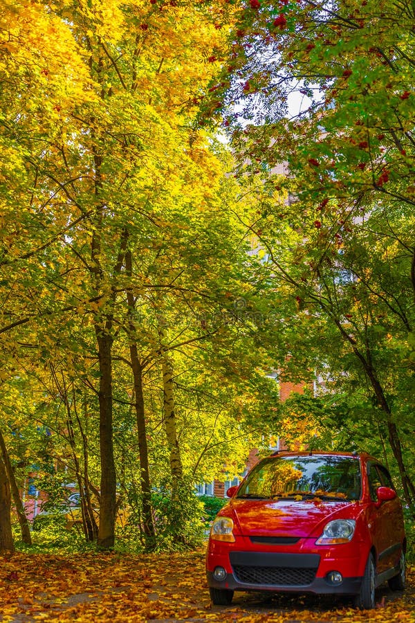 A Red Car Standing with Maple Autumn Leaves on the Window Stock Photo ...