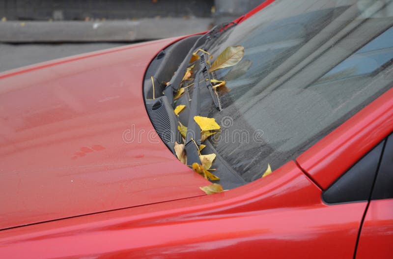 Red Car Windshield with Dust and Yellow Fallen Leaves in Autumn Stock ...