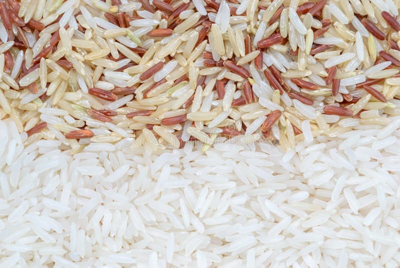 Red Cargo Rice and Jasmine Rice Stock Image - Image of rice, isolated ...