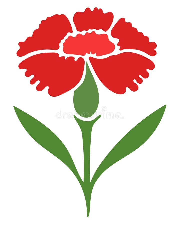 Red Carnation Illustration Isolated in White Background Stock ...